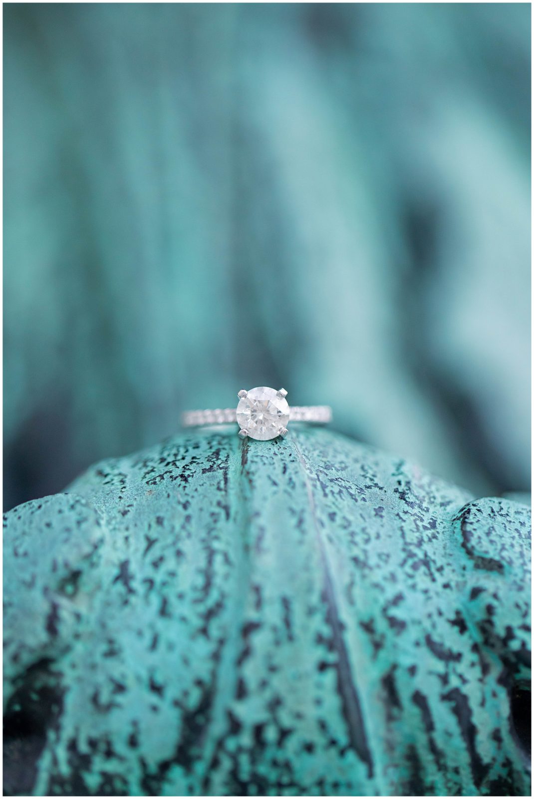 Engagement Photos in Madison, WI